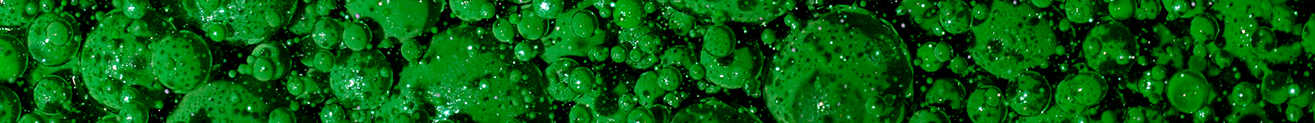 Cluster Quimico de Guanajuato | Empresas Asociadas |BETA PROCESOS